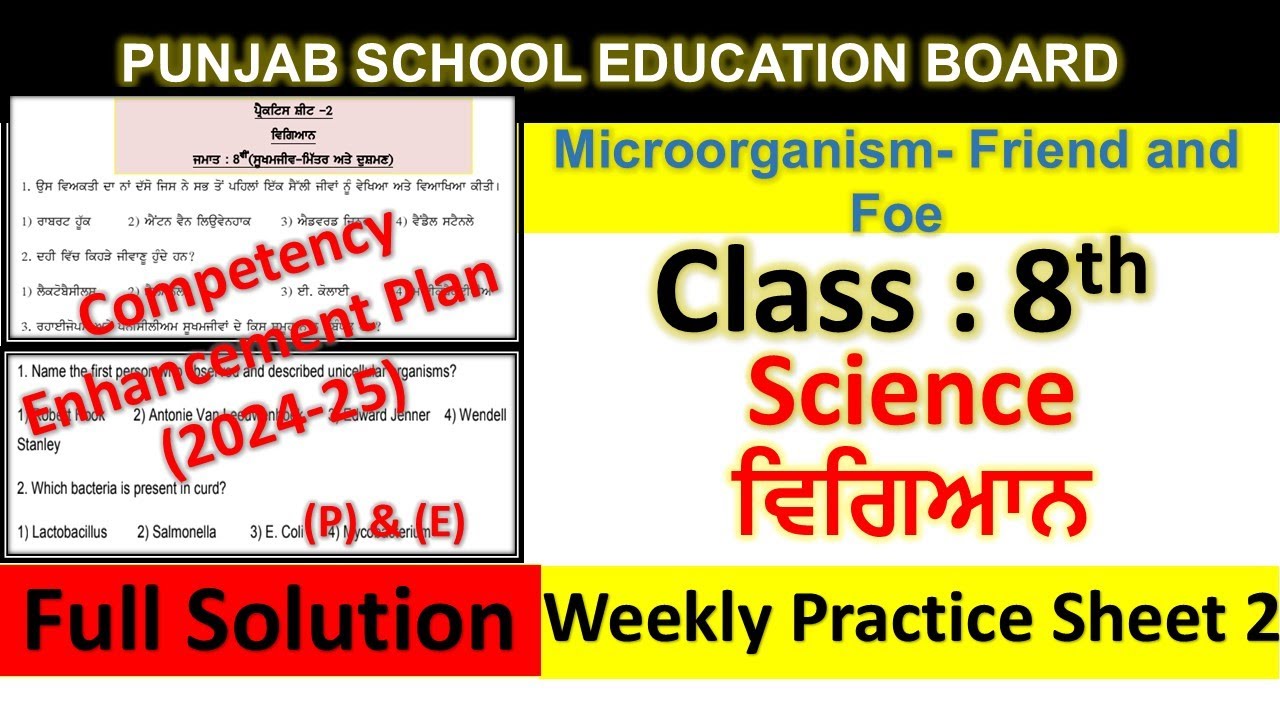 pseb competency based paper class 8th science worksheet 2 test 2024 ...