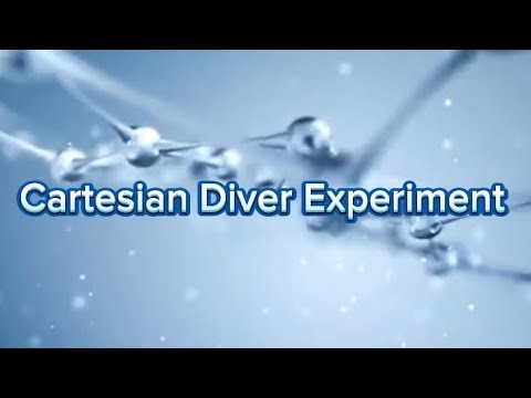Cartesian Diver Experiment: Fluid Mechanics Experiment 1 - YouTube