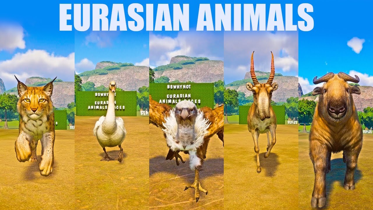 Eurasian Animals Speed Race in Planet Zoo included Eurasian Griffon ...