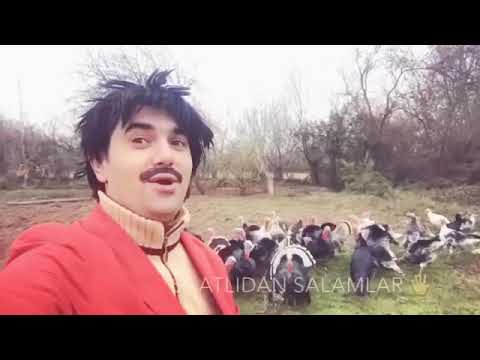 Felaket hindusqalarla hamiya salam