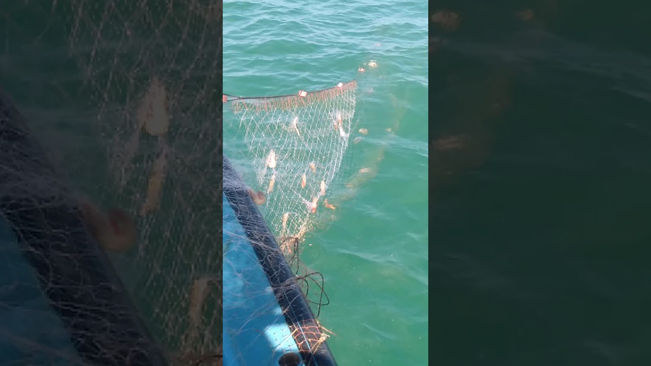 Pukat udang Kuala Besut 2019 - YouTube