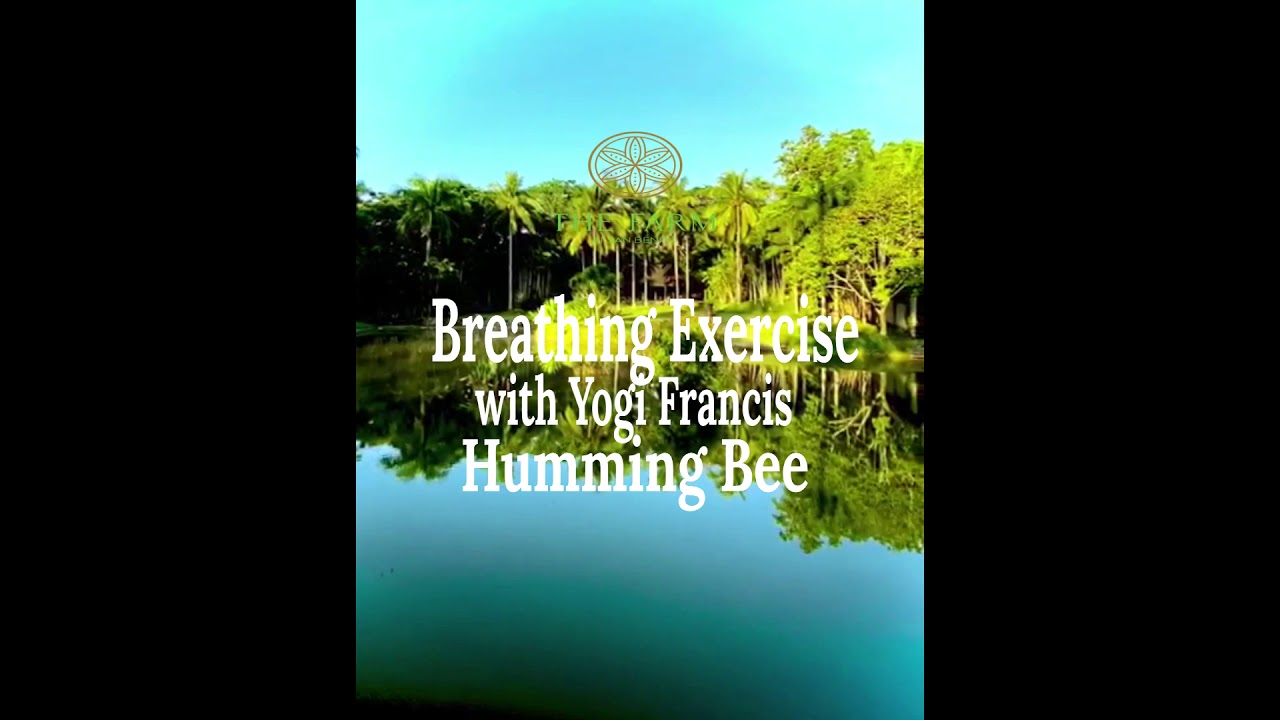 Breathing Exercise Humming Bee - YouTube
