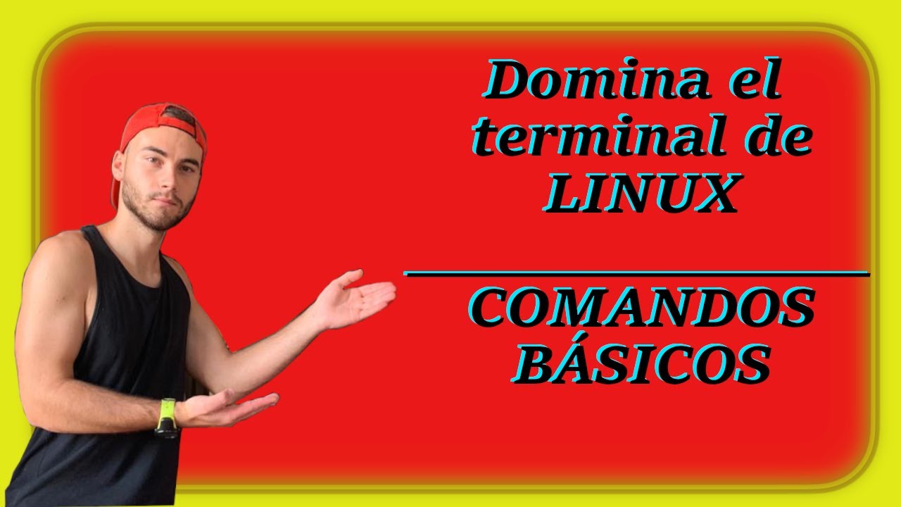 Domina el TERMINAL de LINUX | Comandos Básicos - YouTube