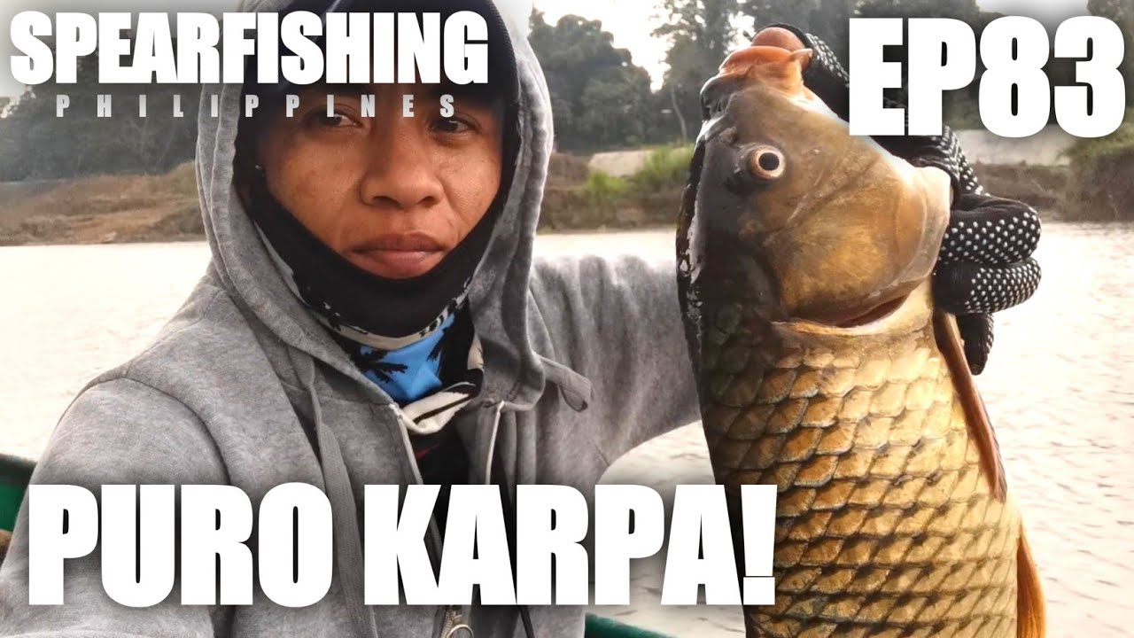 Fishing Philippines : EP83 PURO KARPA HULI NAMIN #spearfishing # ...