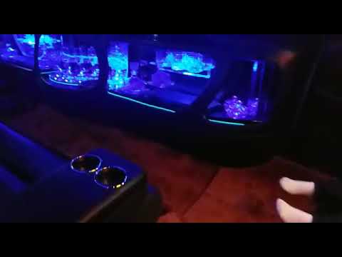 Özel şöförlü vip limuzin kiralama