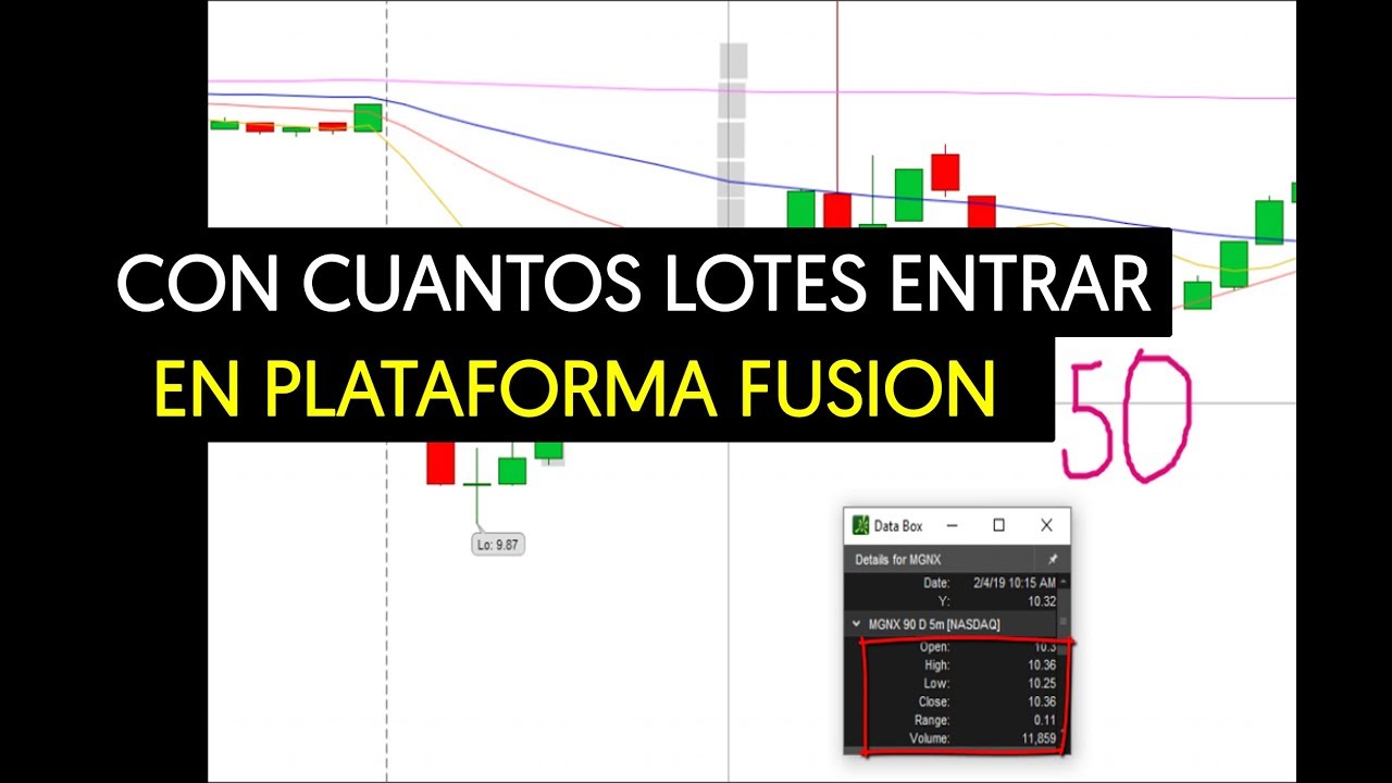 CUANTOS LOTES COMPRAR EN PLATAFORMA FUSION DMA - YouTube