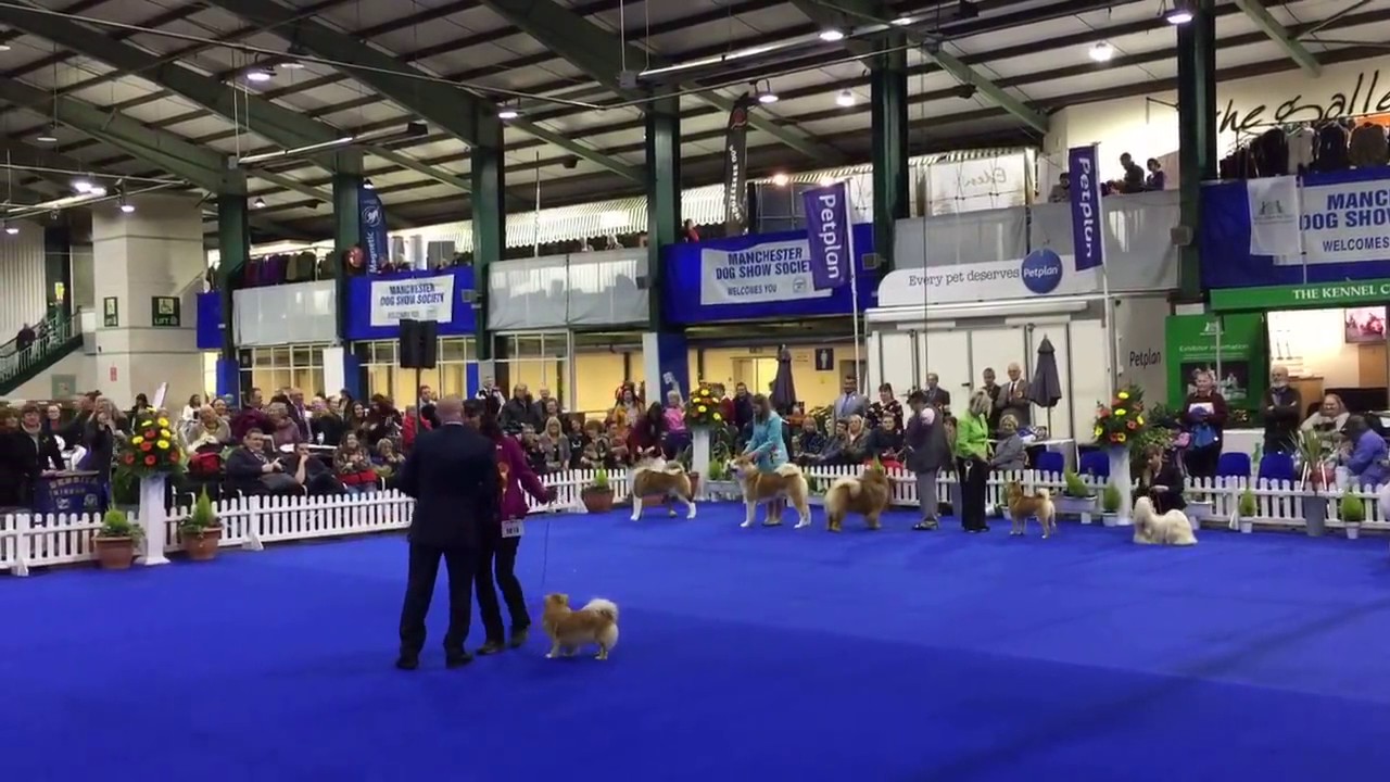 Manchester 2017 - Utility Group - YouTube