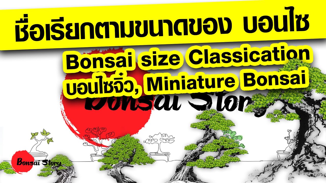 ชื่อเรียกตามขนาดของบอนไซ, Bonsai size Classification, บอนไซ, บอนไซจิ๋ว ...