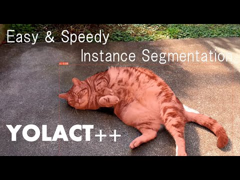 軽くて簡単なインスタンスセグメンテーション「YOLACT++」 Sample instance segmentation with YOLACT ++ - YouTube
