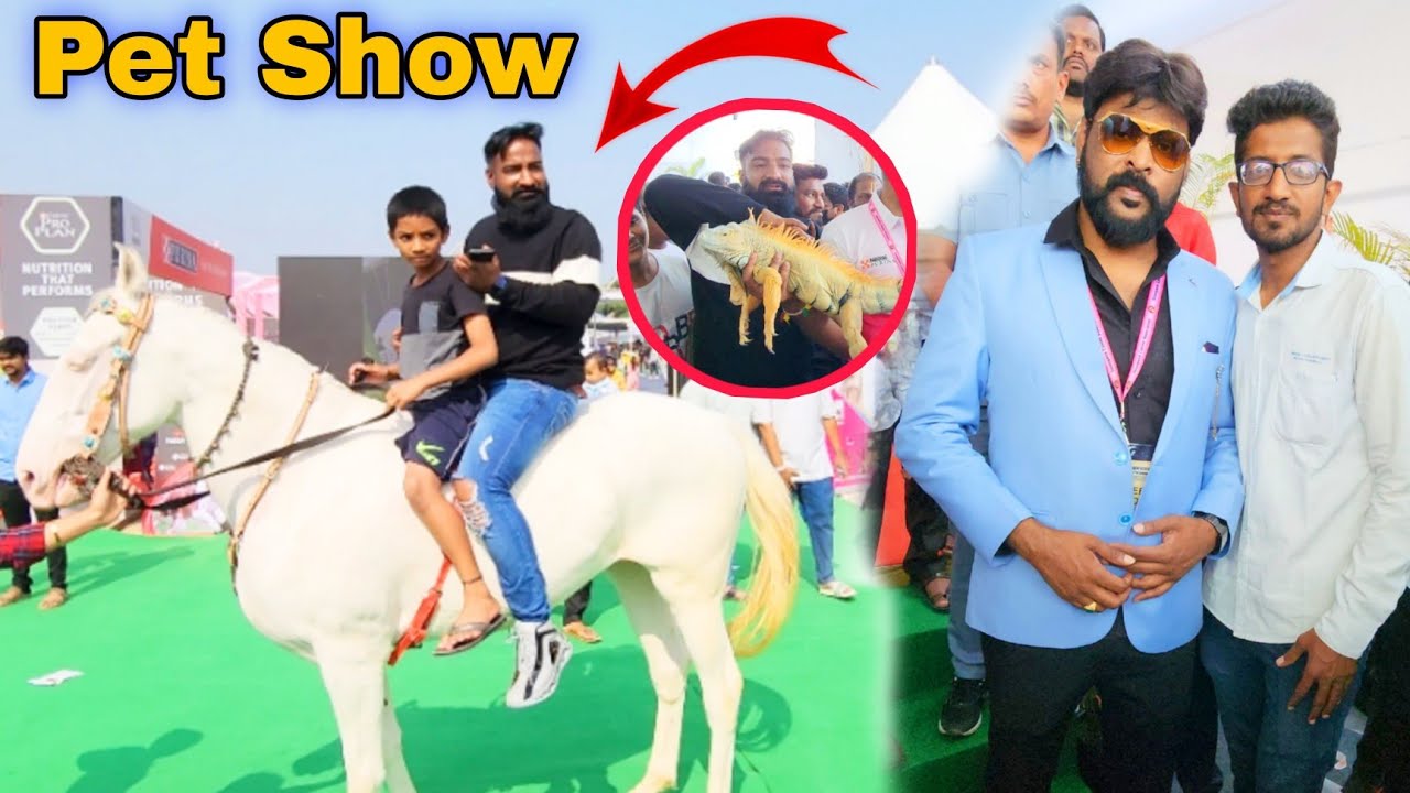Pet show at necklace road 😍 Kirak fun with Pareshan boys imran bhai ...