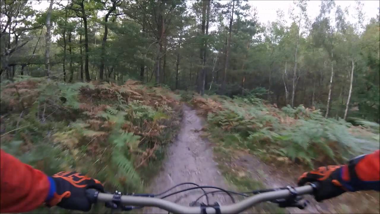 Peaslake MTB Trails September 2016 HD - YouTube