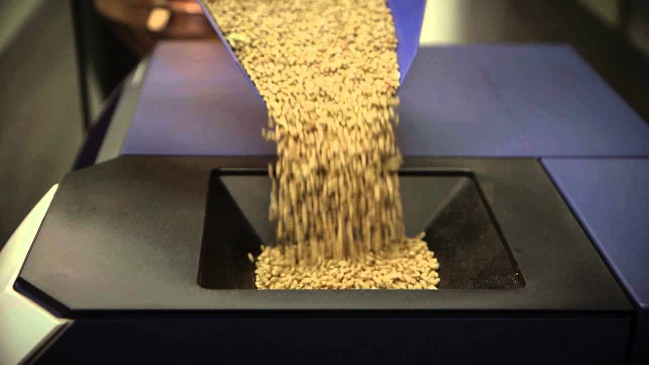 Marketplace Commodities - Grading Room - YouTube