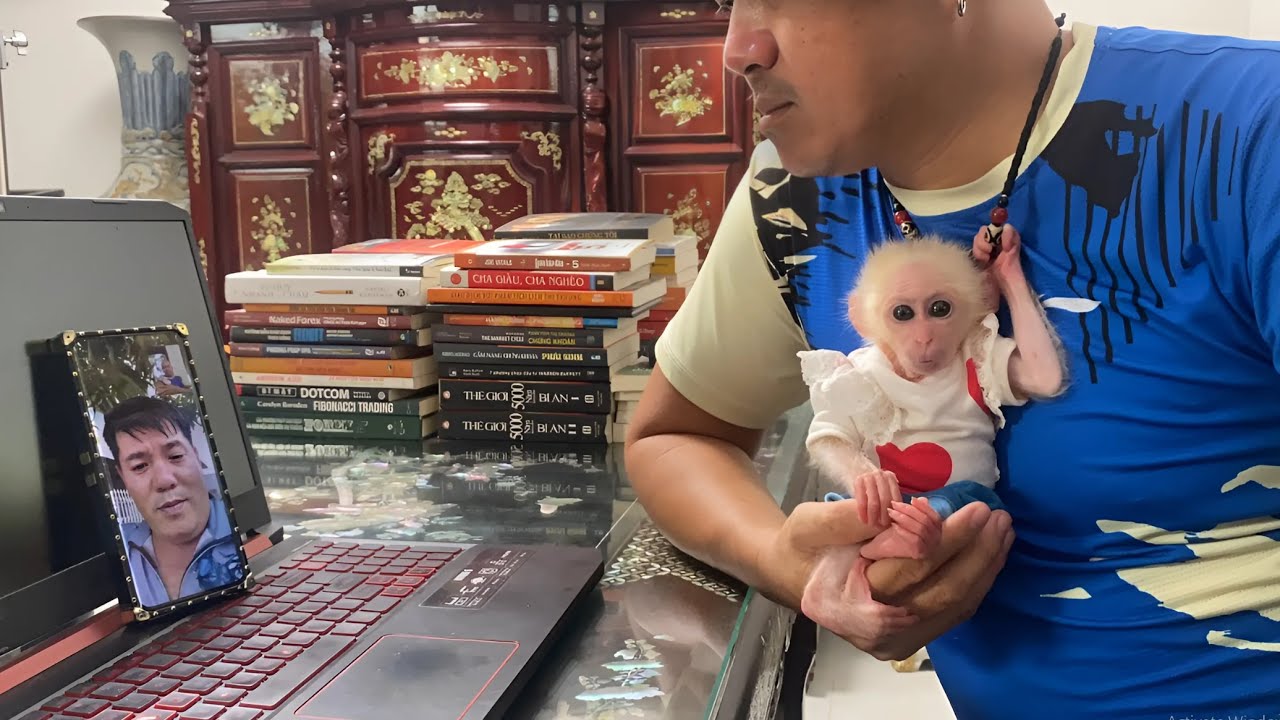 Monkey Luk receives attentive take care of dad & mysterious phone call ...