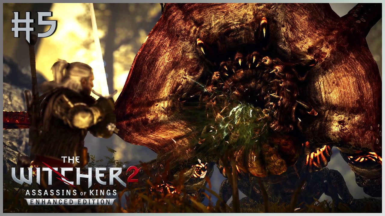 THE KAYRAN - The Witcher 2: Assassins of Kings #5 - Dark - No ...