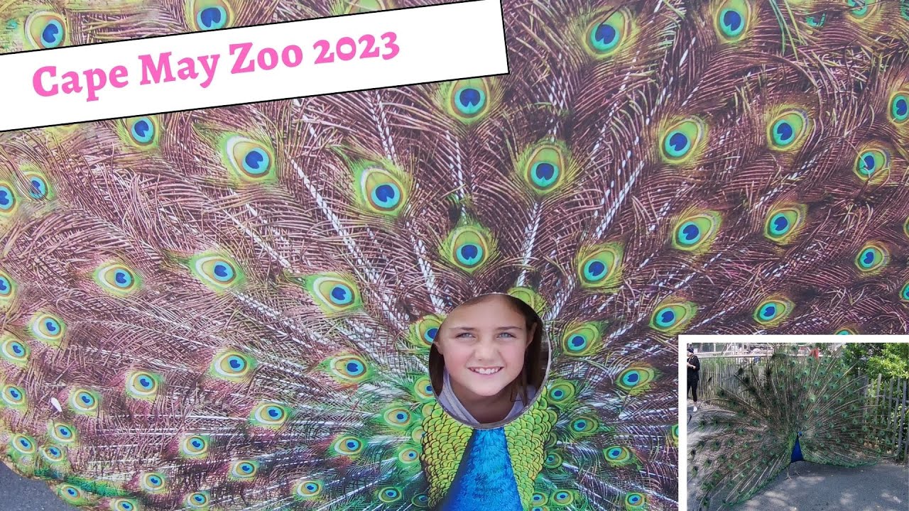 Cape May Zoo 2023 - YouTube