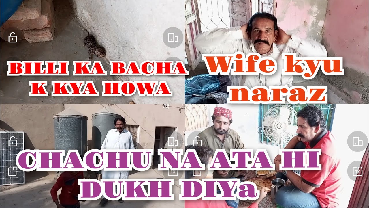 WIFE KYU NARAZ HOWI||CHACHU NA ATA HI DUKH DIYA 🤣||BILLI KA BACHA K KYA ...