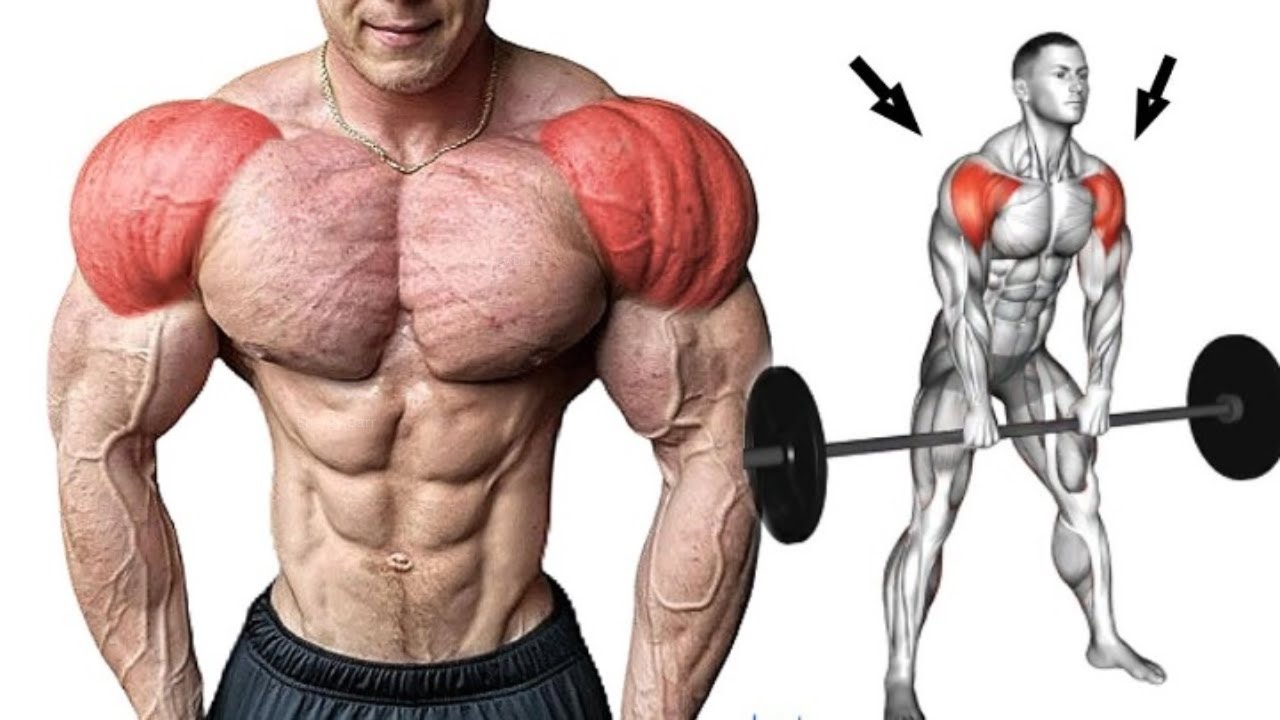 9 Shoulders Exercises You Need To Try For Fast Shoulder Muscle - YouTube