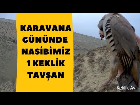 KEKLİK VE TAVŞAN AVI - BUGÜN GÜNLERDEN KARAVANA -  3 AVCI 1 KEKLİK 1 TAVŞAN