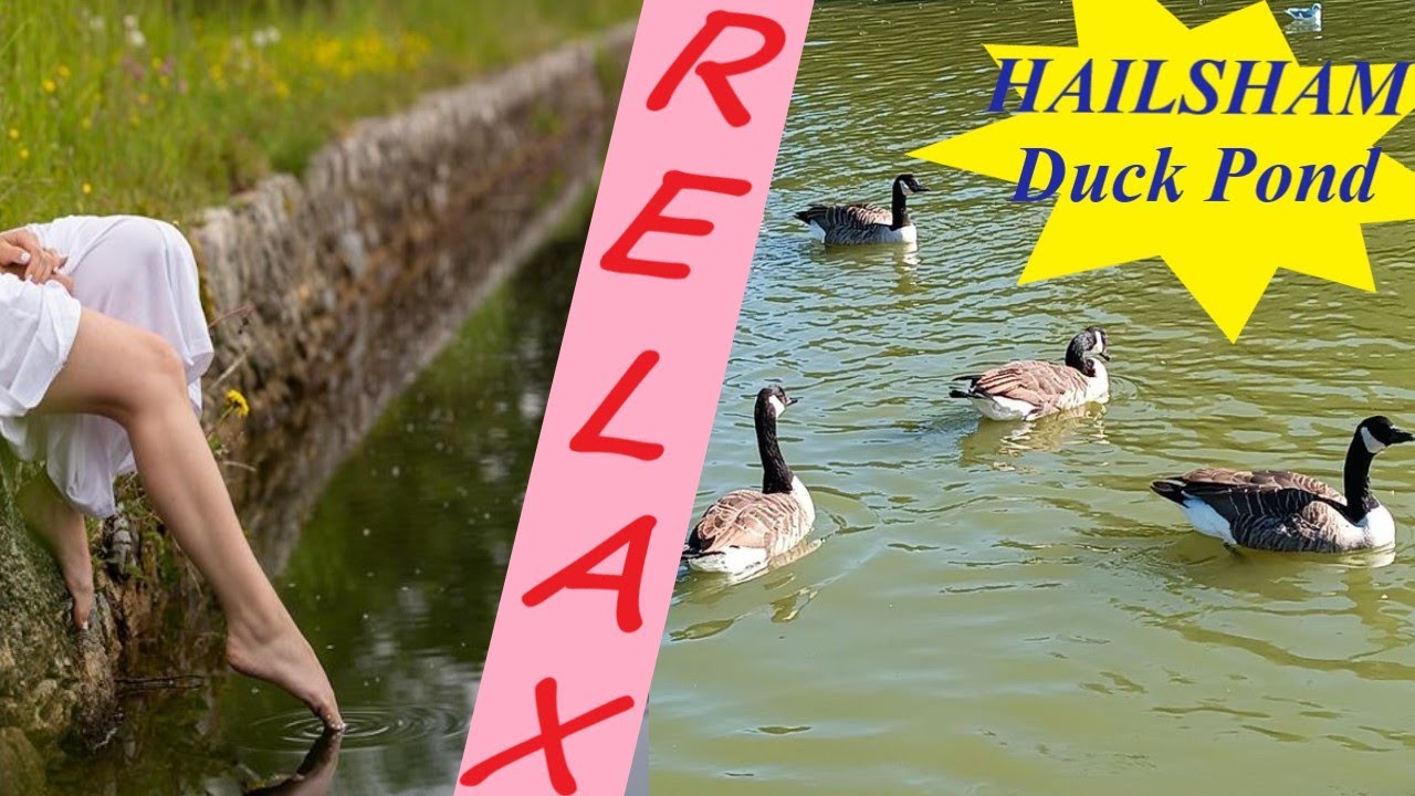 Where Is The Great Place To Relax In Hailsham? (East Sussex England ...