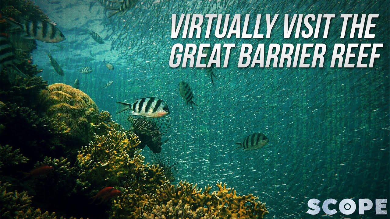 Virtually Visiting The Great Barrier Reef?! SCOPE TV - YouTube