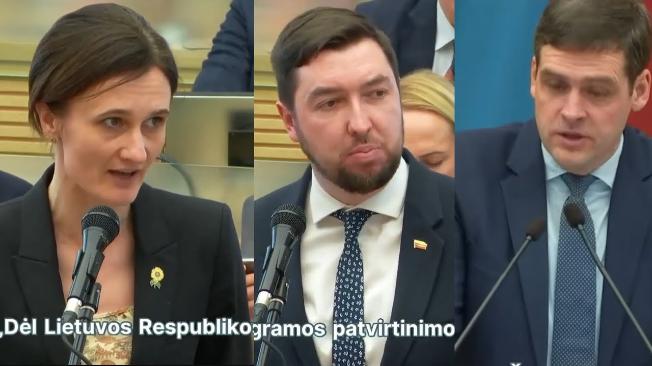 Mitalas ir Čmilytė-Nielsen pykstasi su rėkiančiu Žemaitaitčiu 💀 - YouTube