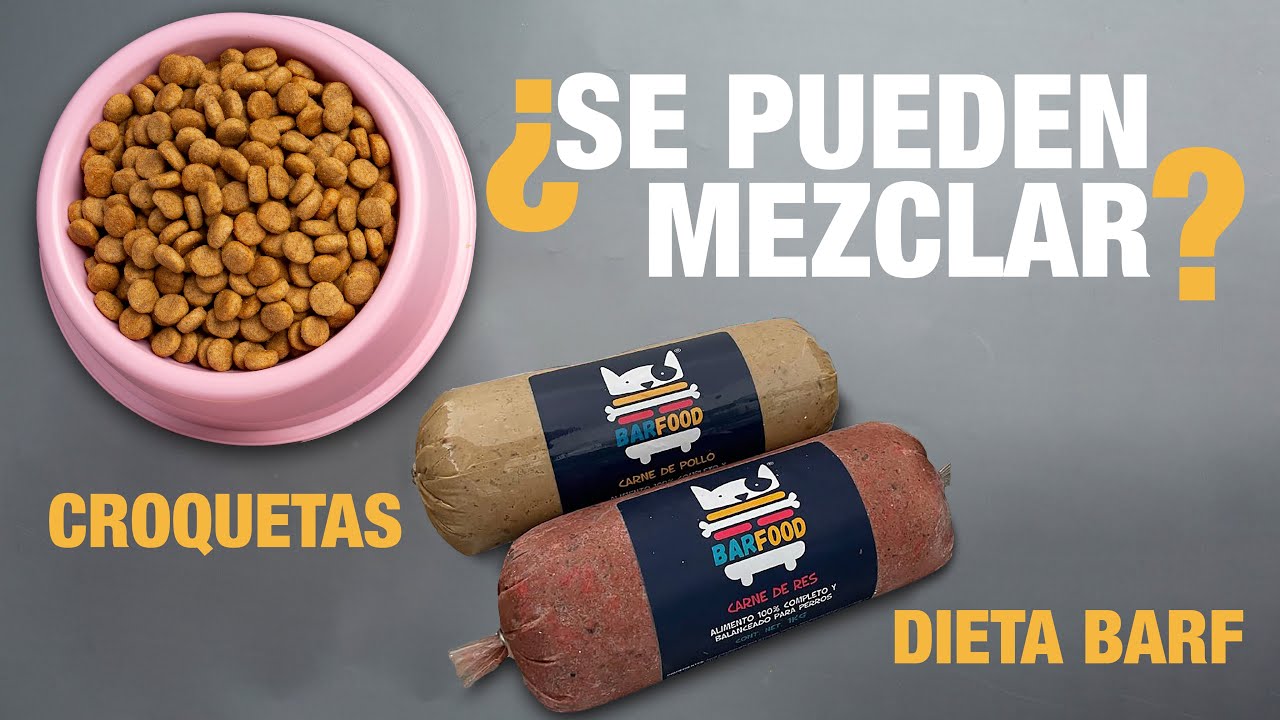 DIETA BARF I ¿PODEMOS MEZCLAR LA DIETA BARF CON CROQUETAS? I ¿MITO O ...