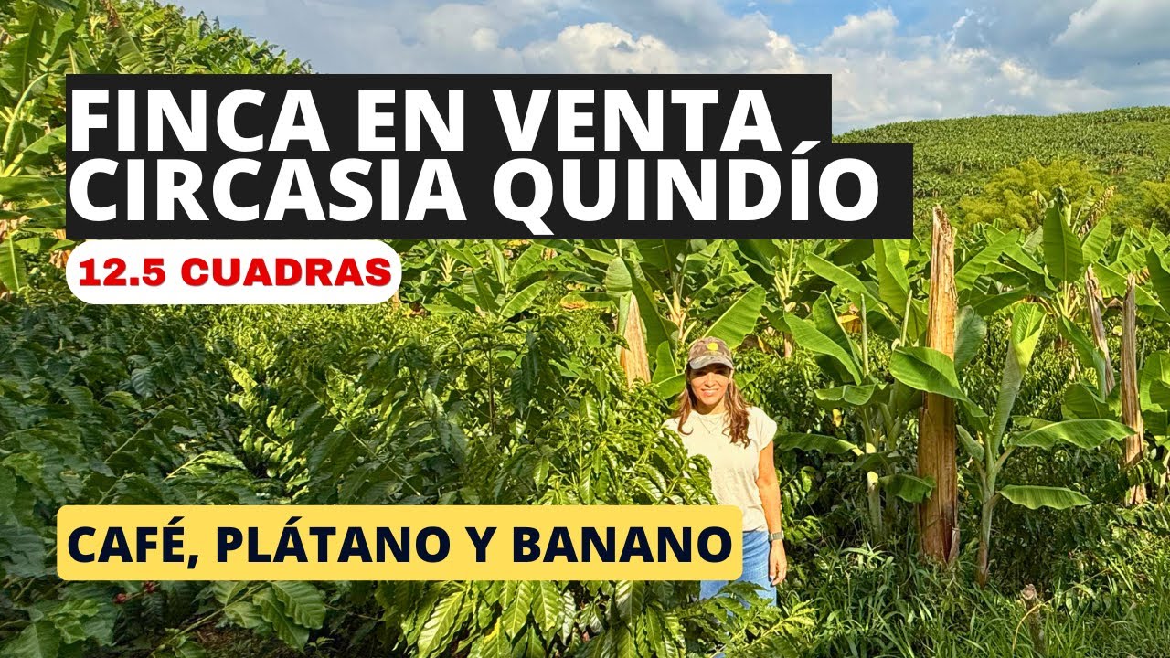 Inversión rural en el Quindío – Finca cafetera con variedades especiales Circasia – Coffee farm ...