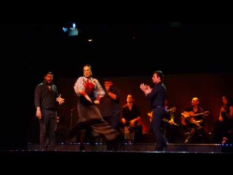 Barselona Flamenko Gösterisi