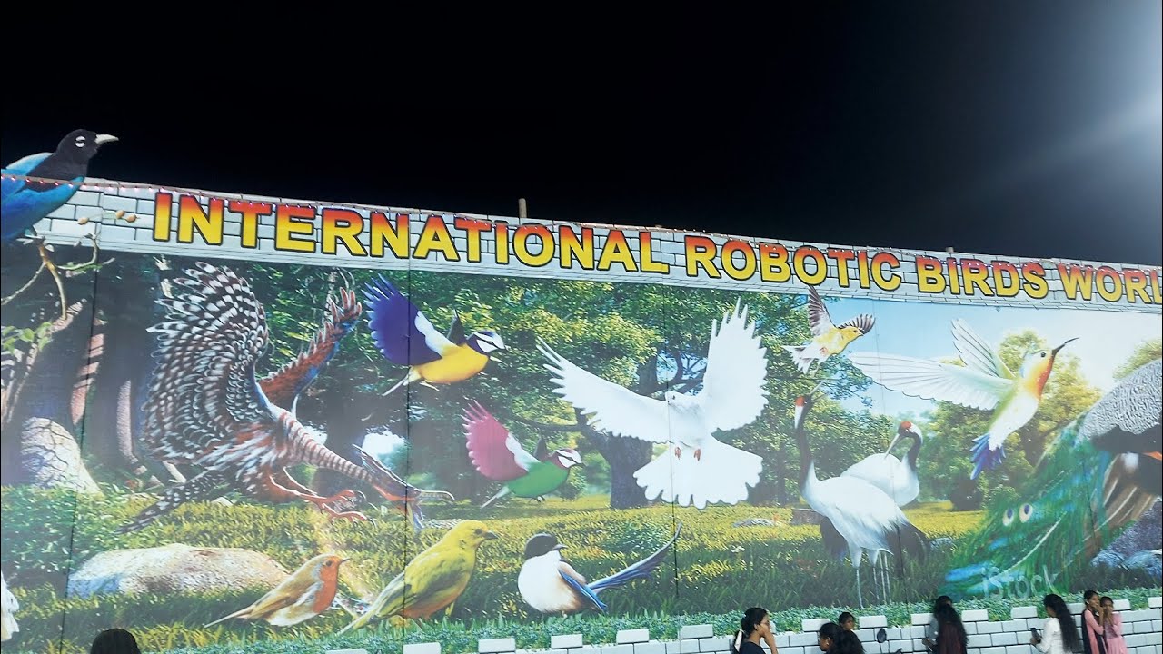 international robotic birds 🐦 exhibition - YouTube