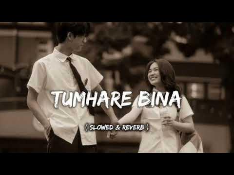 Tumhare Bina lo-fi Song ll Official Audio ll Mixed ( Slowed & Reverb ) ll Made by @Tectolo-fi ll ...