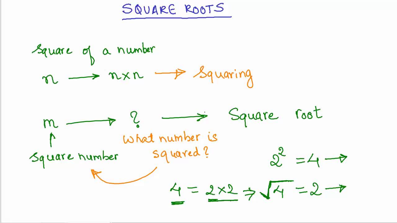 06 What Is Square Root CBSE MATHS YouTube 06-what-is-square-root-cbse-maths-youtube