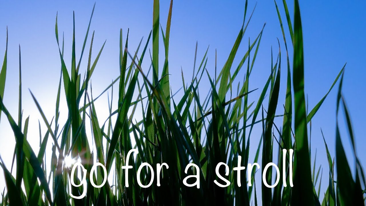 Go for a stroll Ⅱ relaxing movie and music - YouTube