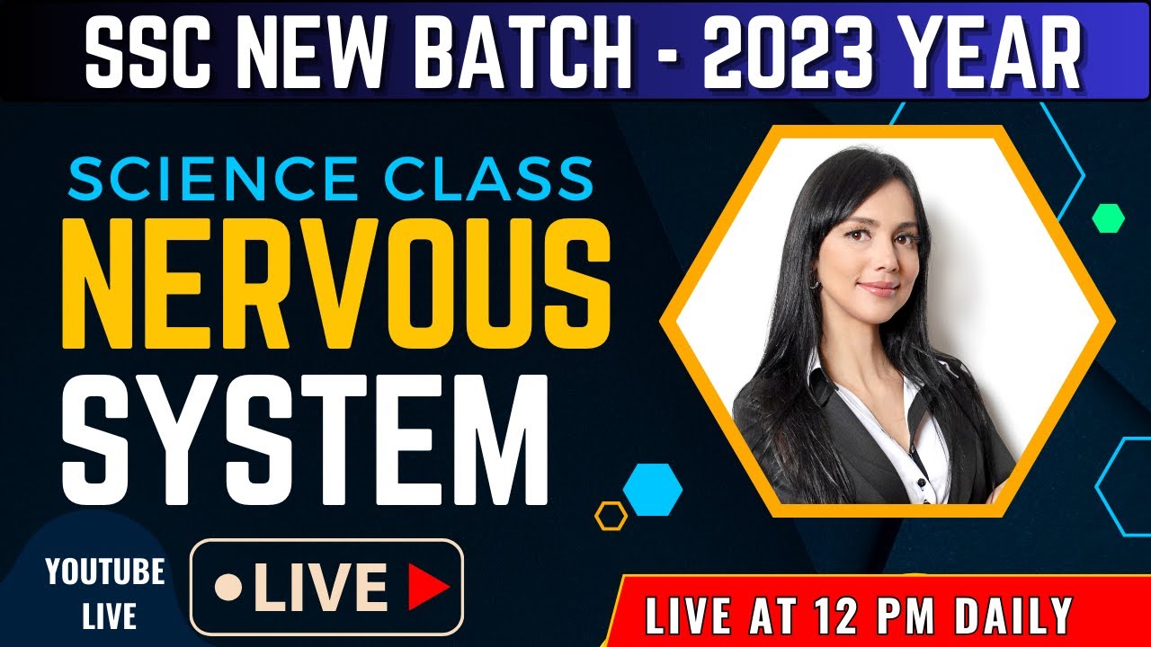 NERVOUS SYSTEM | Science | SAMIKSHA INSTITUTE | LIVE 11 AM - YouTube