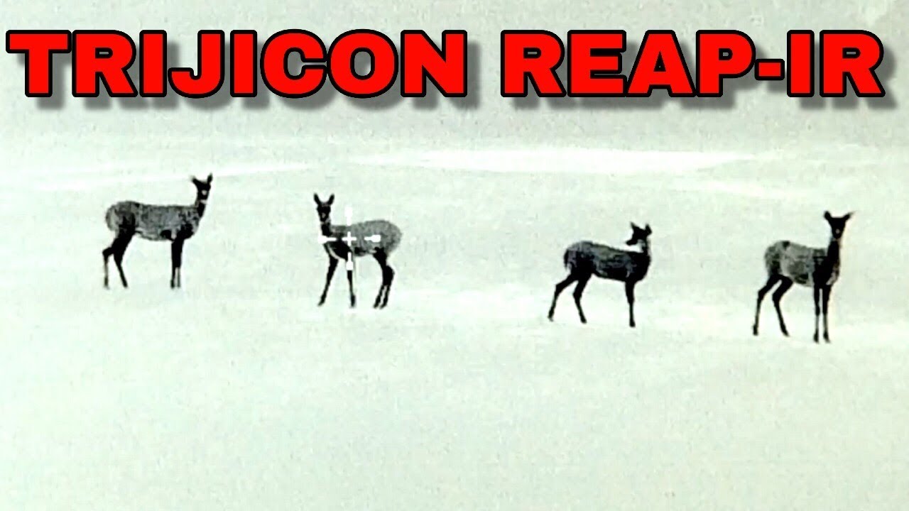 Trijicon REAP IR 35mm Mini Thermal Rifle Scope Review