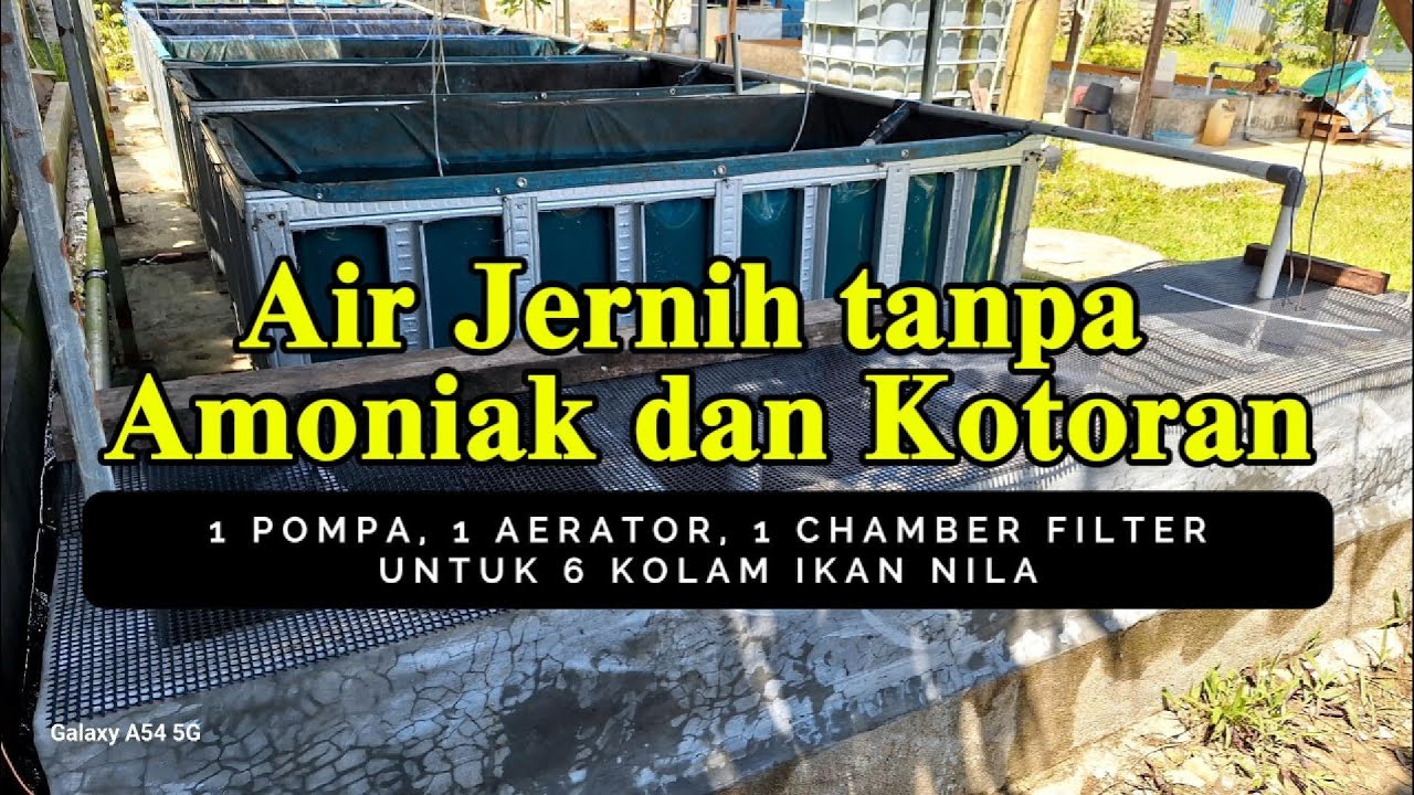 Air Jernih tanpa Amoniak dan Kotoran. 1 Pompa, 1 Aerator, 1 Chamber ...