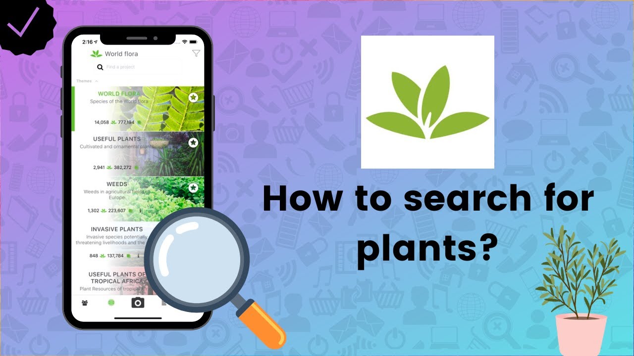 How to search for plants on PlantNet? - PlantNet Tips - YouTube