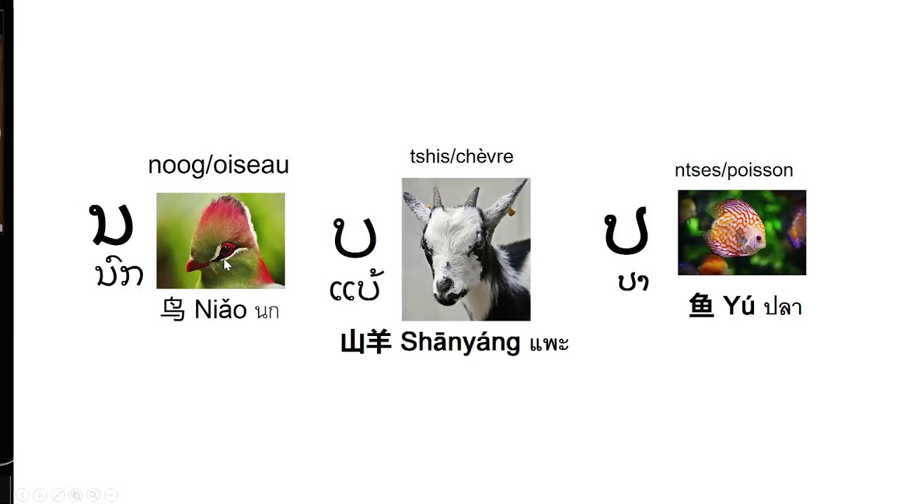 LFL: Learn Five Languages: Lesson 1 - Lao Alphabet - YouTube