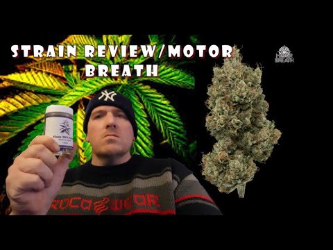 strain review MOTOR BREATH!!!