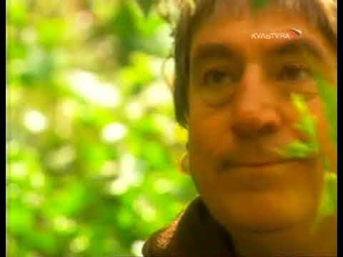 Середньовічне життя з Террі Джонсом/Terry Jones' Medieval Lives (2004 ...
