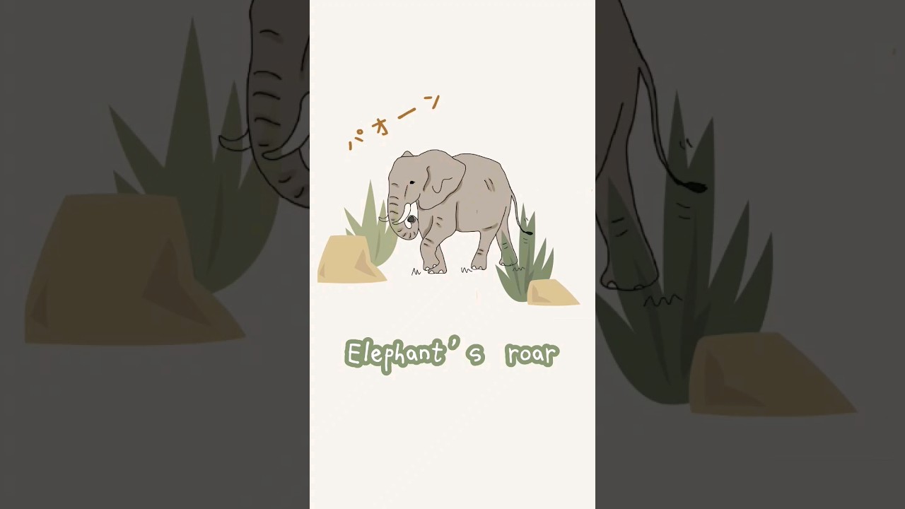 Japanese Animal Sounds - YouTube