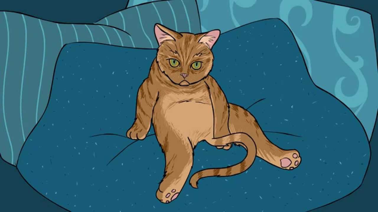 Cat Boner - 5 Second Day 2013 - YouTube