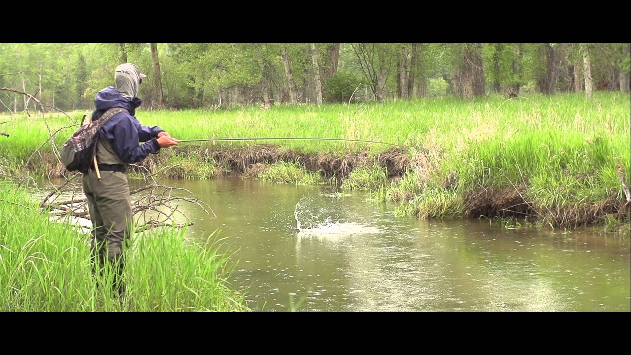 FLOOD WATER - Streamer fishing Montana - YouTube