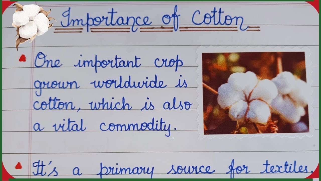 Importance of Cotton in 10 Lines | Significance of Cotton in English ...