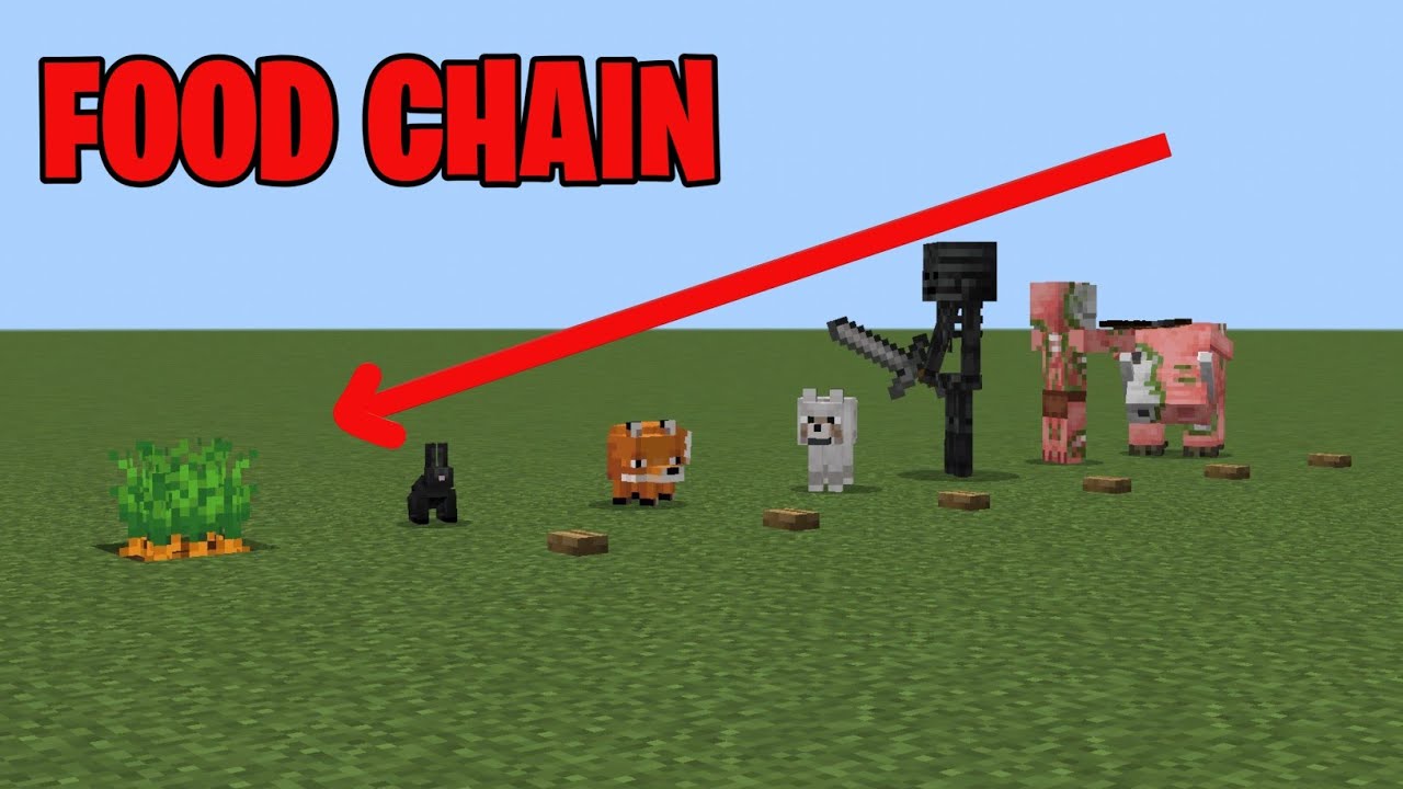 food chain in minecraft - YouTube