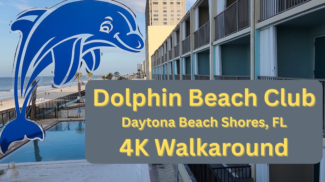 Dolphin Beach Club 2025 Walkaround #4K - YouTube