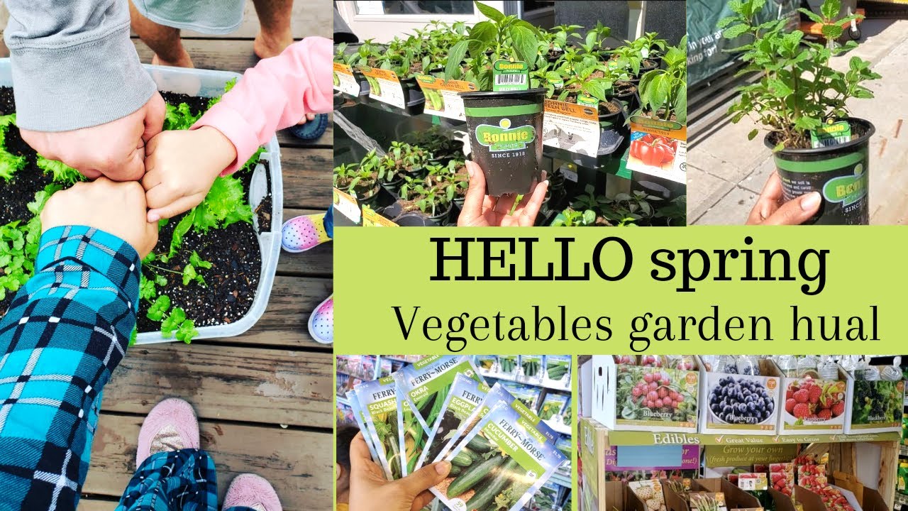 Hello Spring 😇 - Vegetable Garden Shopping Haul by Creative Nida - Part ...