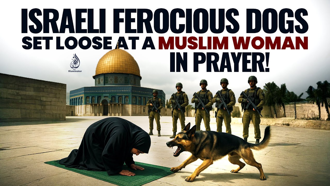 Miracle Happened When Ferocious Dogs Were Set Loose at a Muslim Woman ...