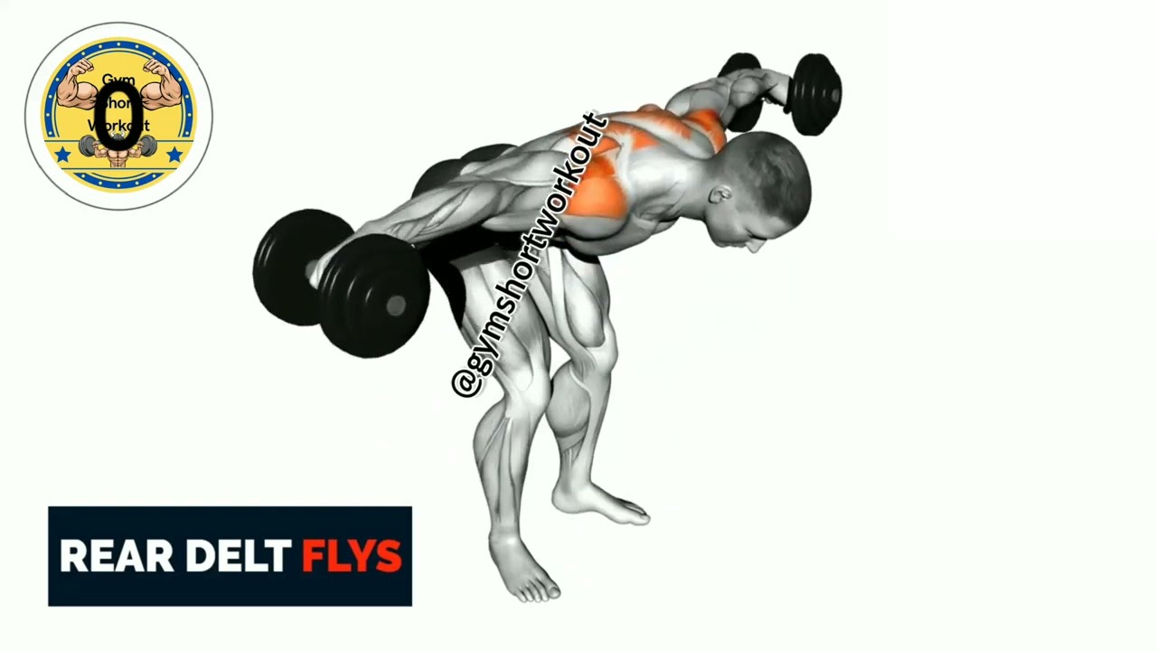 12 Best Dumbble Exercise For building Muscle at home and at gym - YouTube