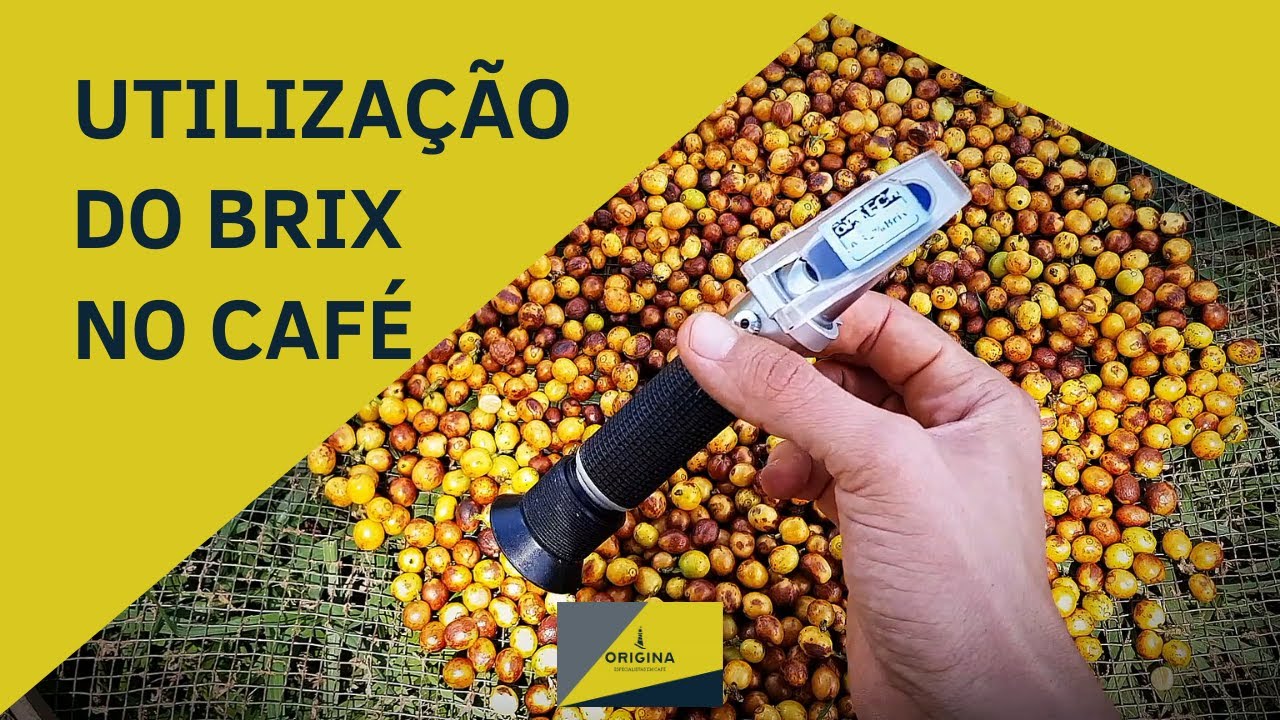 Como medir o brix no café? - YouTube