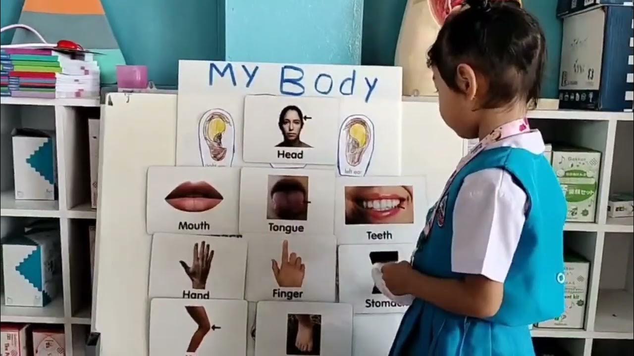 5 senses and body parts functions PK 2/1 group 1 - YouTube